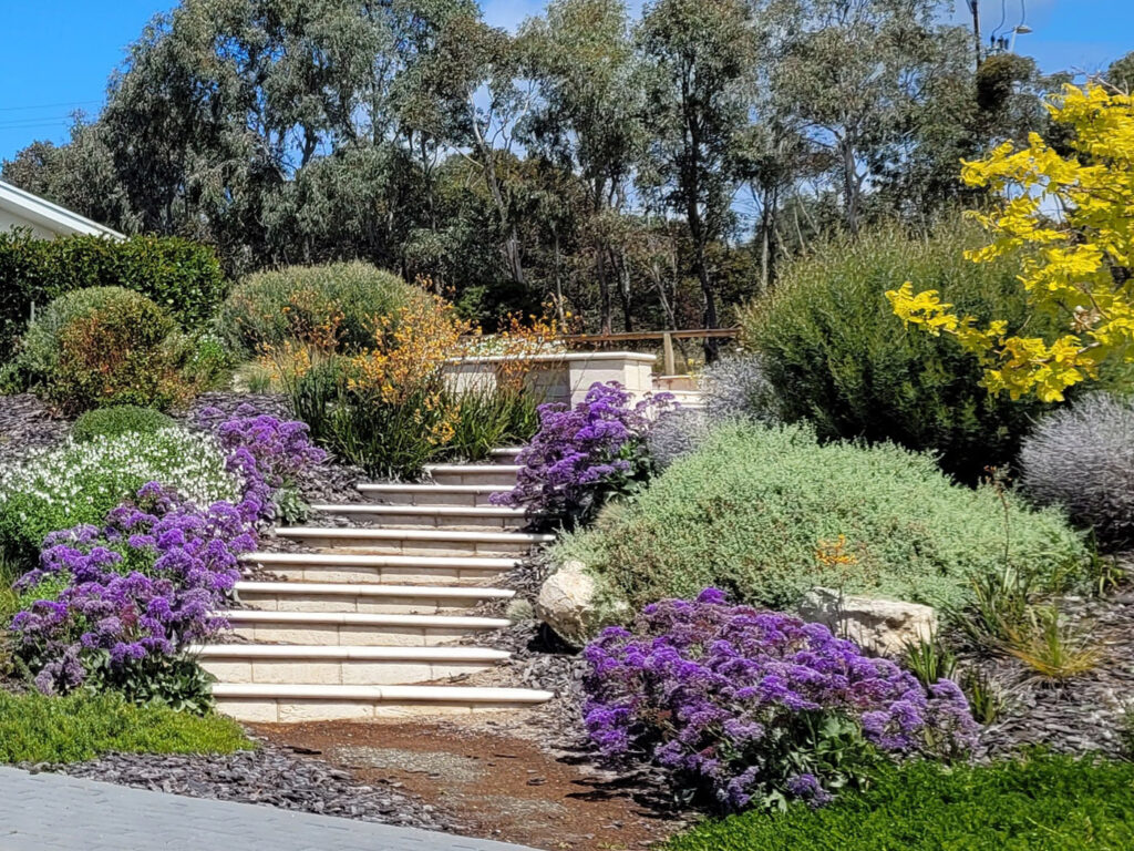 Native Landscape Design Adelaide | Native Garden Design