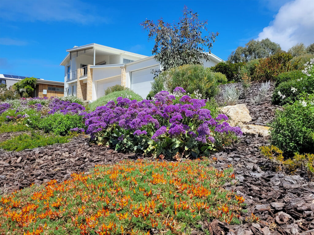 Native Landscape Design Adelaide | Native Garden Design