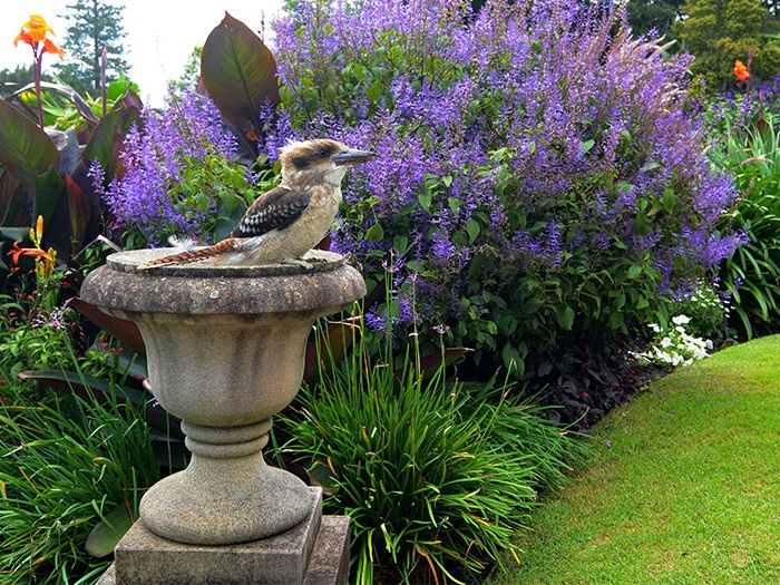 Top Native Landscape Design (Adelaide, SA) Ideas - Living Pictures By ...