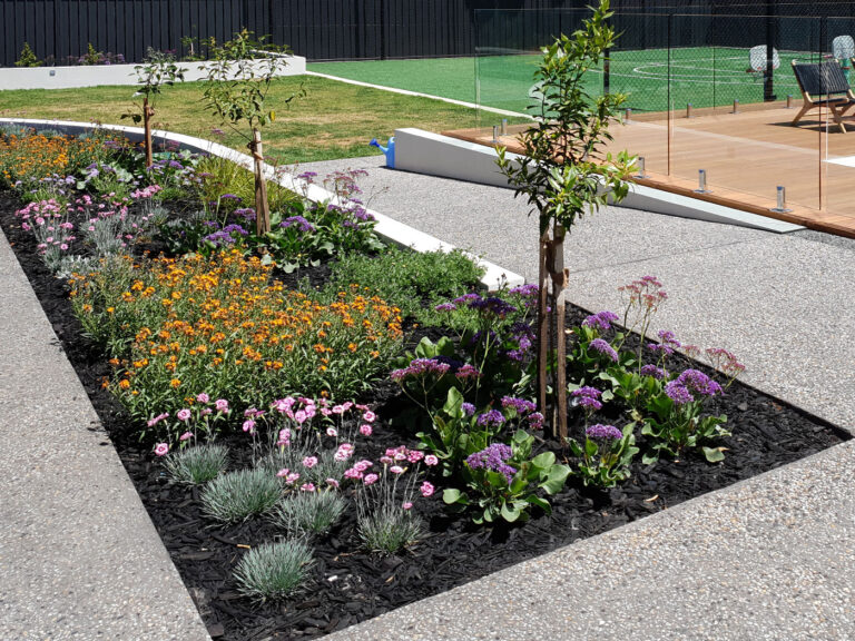 Native Landscape Design Adelaide | Native Garden Design
