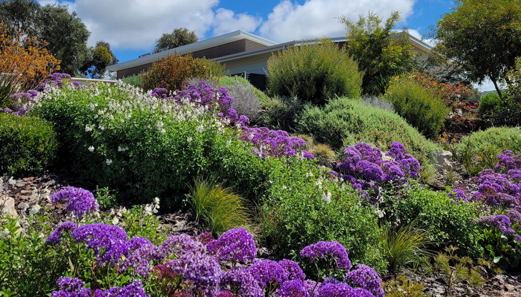 Native Garden Landscape Design Victor Harbor